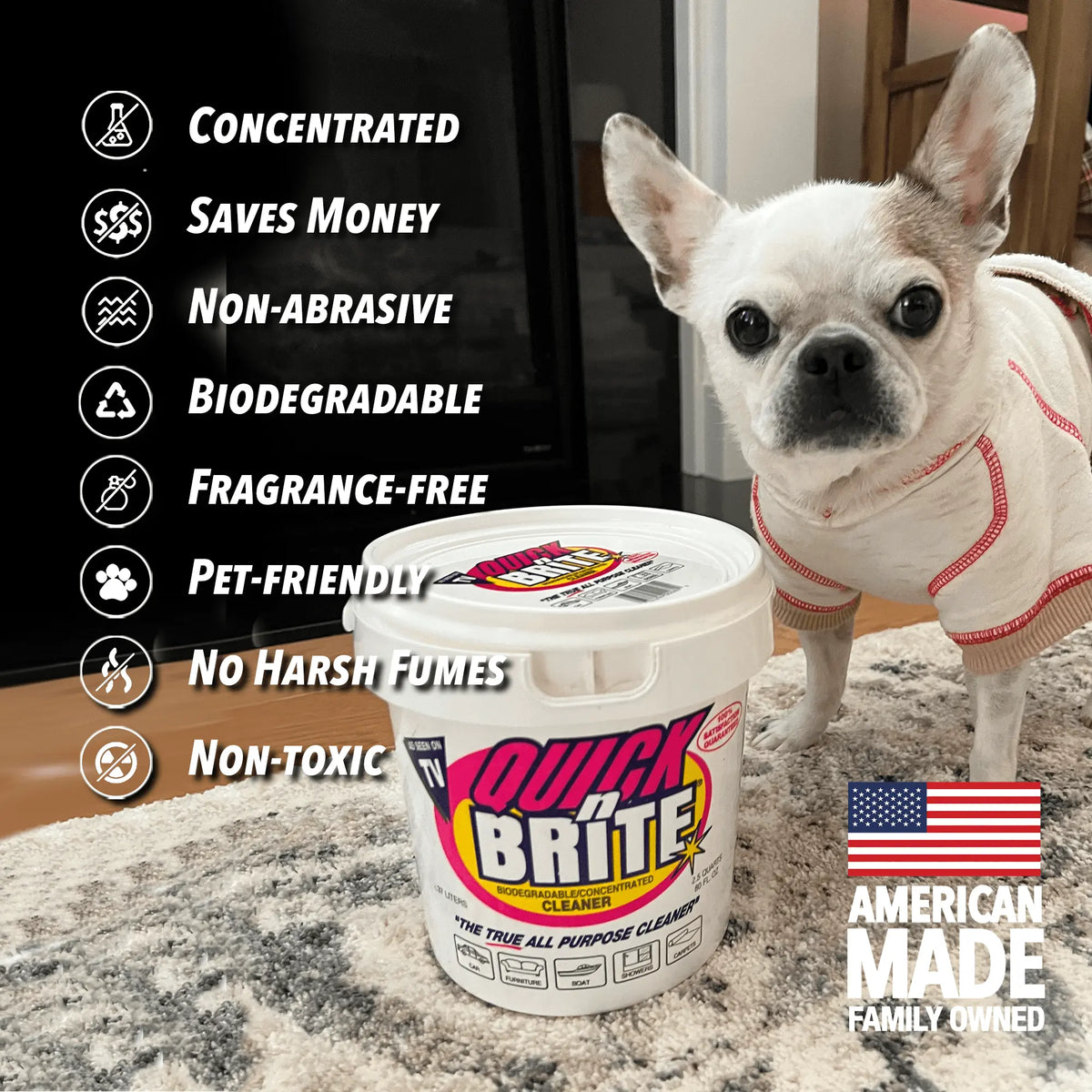 All-Purpose Household Cleaning Paste, 30oz Kit - Quick 'n Brite