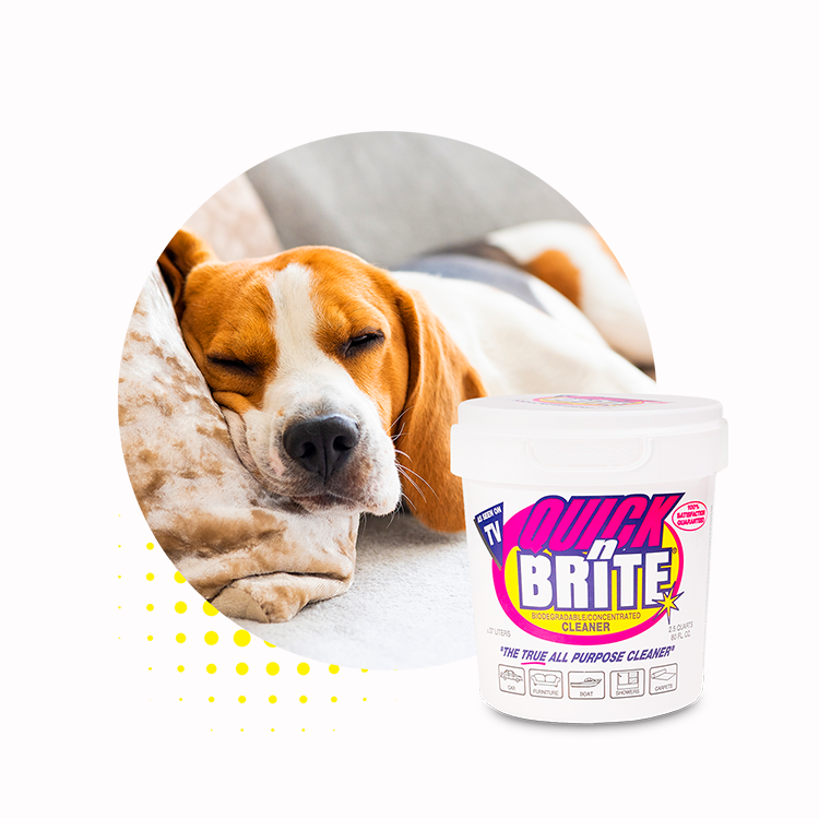 QuicknBrite - The ORIGINAL All Purpose Cleaner – QUICK n BRITE